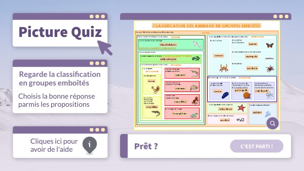 QUIZ CLASSIFICATION | Genially