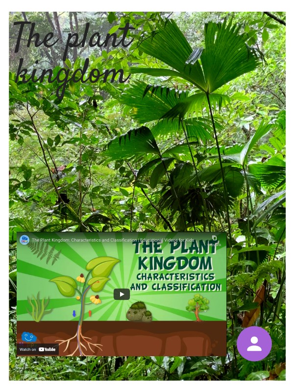 The plant kingdom | Genially