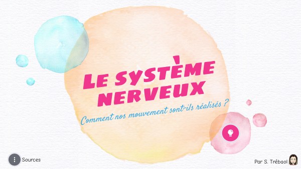 Système nerveux 5e