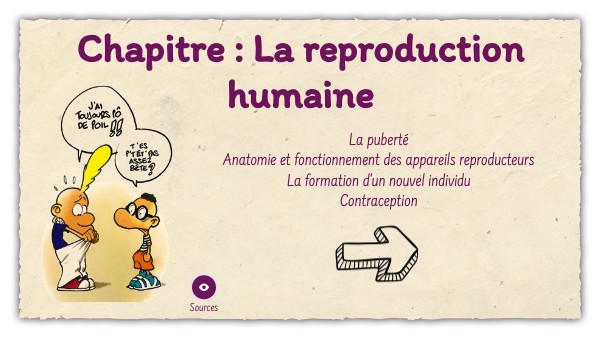 La reproduction humaine | Genially