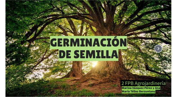 Experimento De Semilla | Genially