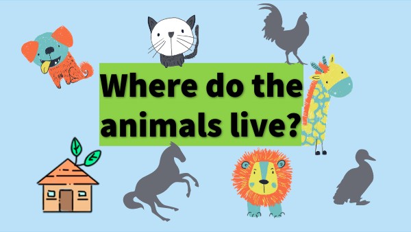 Where do the animals live? | Genially