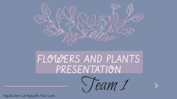 Copy - FLOWERS AND PLANTS PRESENTATION