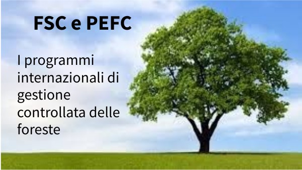 FSC e PEFC