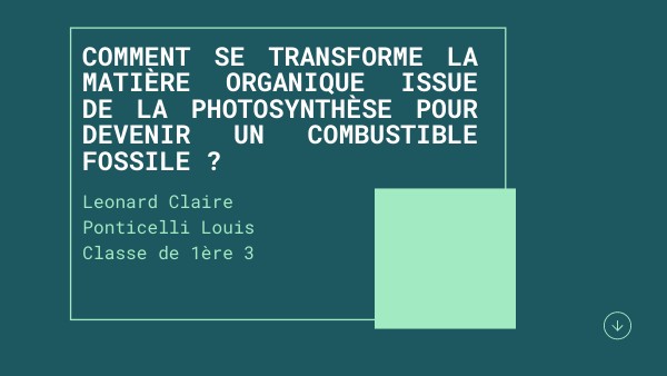 SVT presentation | Genially