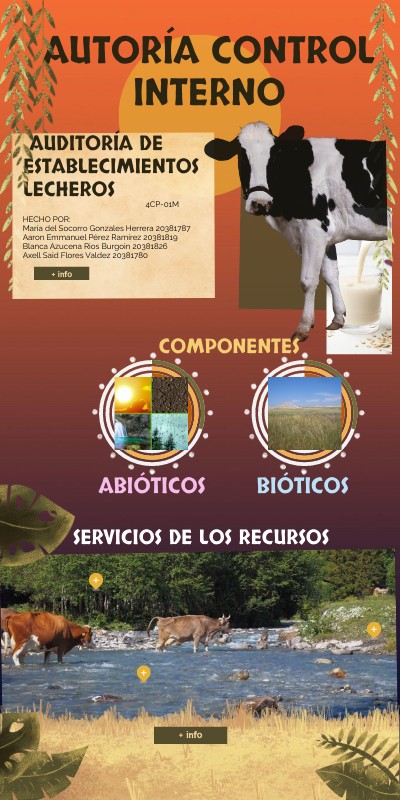 Auditoría control interno | Genially