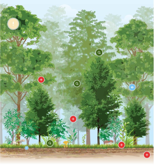 Interactive image