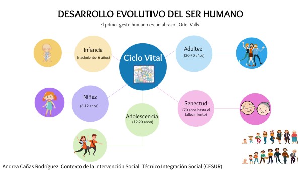 Esquema sobre el ciclo de la vida