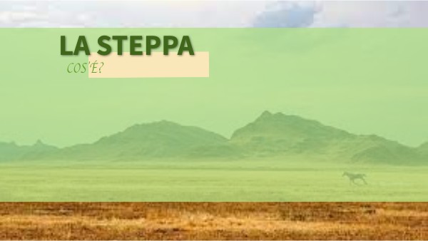 STEPPA | Genially