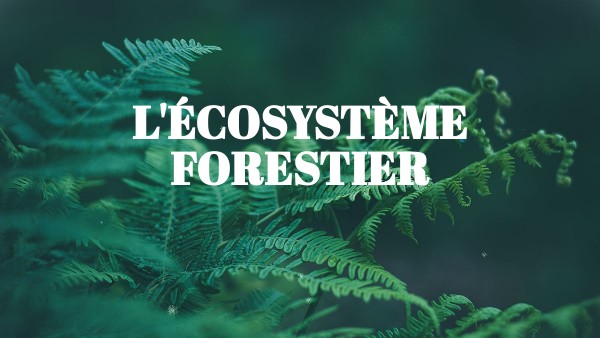 NATURE PRESENTATION | Genially