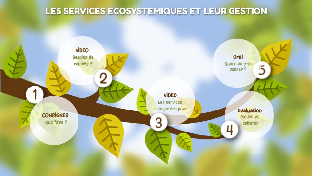 1 spé SVT Services écosystémiques | Genially