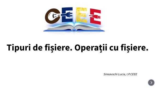 Fisiere
