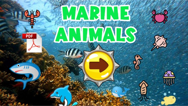 Marine Animals | Genially