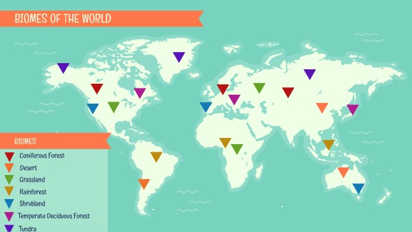 Biomes Around the World