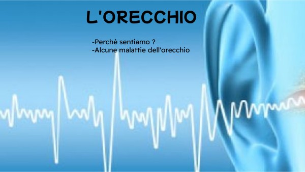 L'orecchio | Genially
