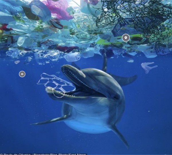 Publicidade Institucional