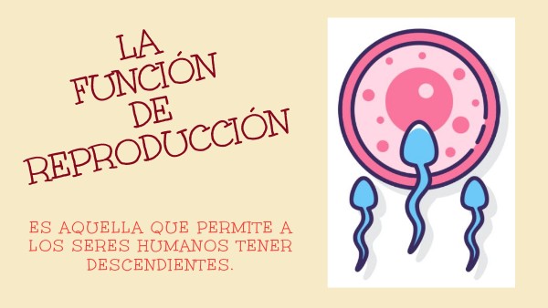 LA FUNCIÓN DE REPRODUCCIÓN (con perspectiva inclusiva)