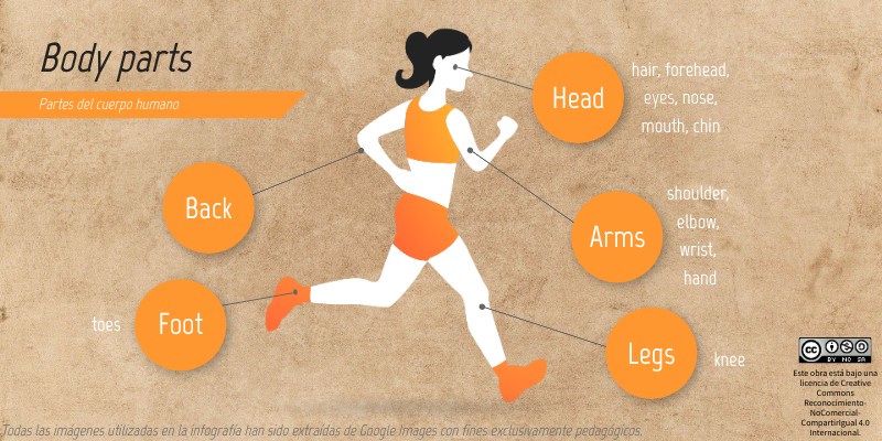 Body parts | Genially