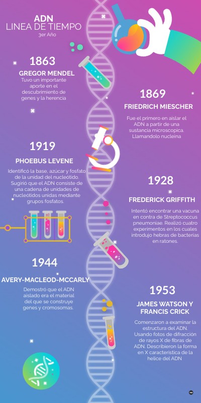 Linea de tiempo del ADN | Genially
