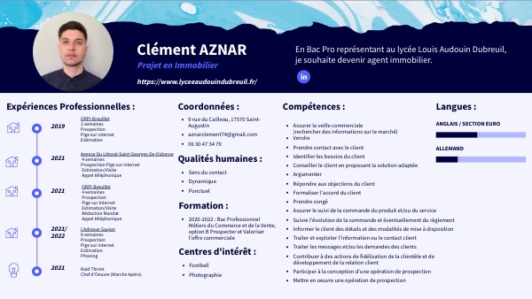 CV CARTE MENTALE