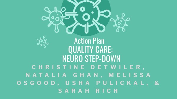 Action Plan: Quality Care | Genially