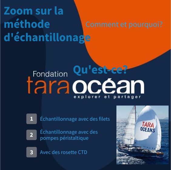Tara Océan, Focus Échantillonnage | Genially