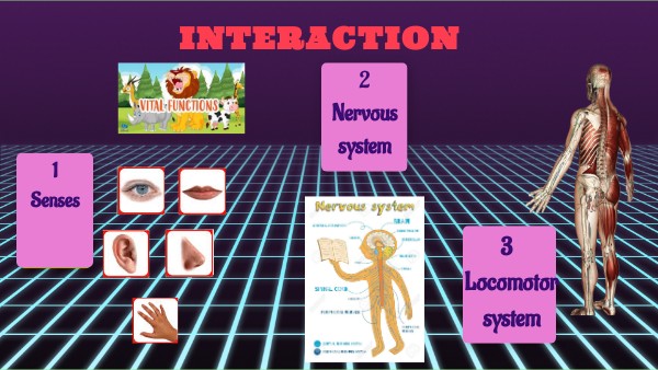 Science: Interaction | Genially