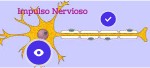 impulso nervio y sinapsis interactiva | Genially