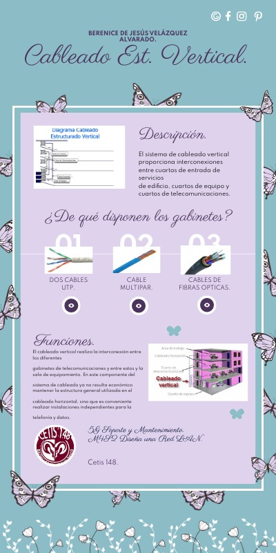 Cableado Estructurado Vertical | Genially