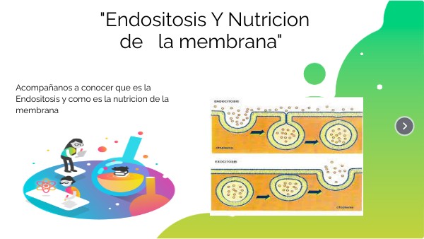 "Endositosis Y Nutrición de la membrana"