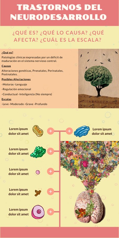Infografía Trast-neurodesarrollo | Genially