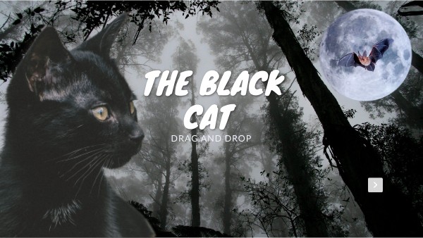 The Black Cat Drag and Drop | Genially
