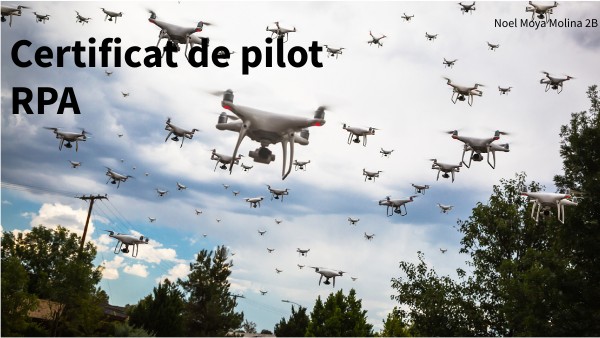 Certificat de pilot rpa