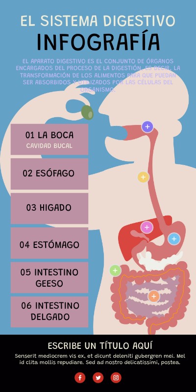 INFO VERTICAL DIGESTIVO | Genially