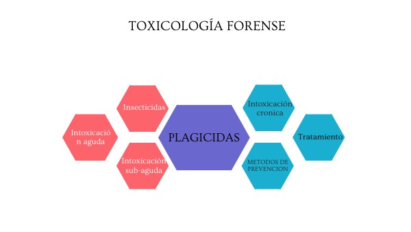 CAPITULO 3 | Genially