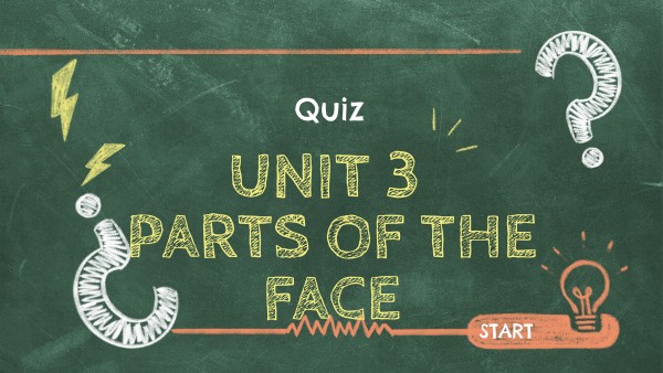 Quiz unit 3