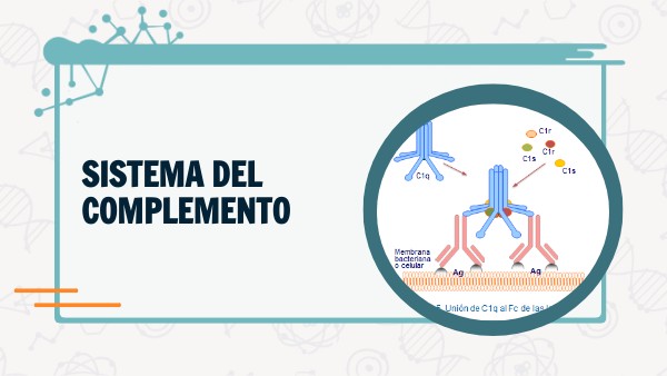 Sistema del complemento - INMUNO | Genially