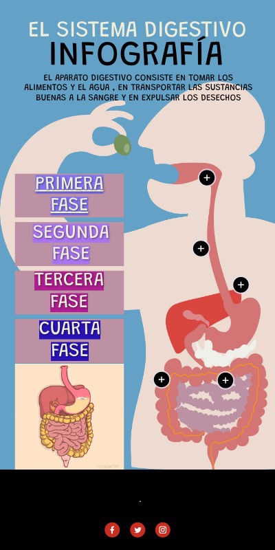 INFO VERTICAL DIGESTIVO