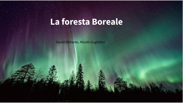 foresta boreale