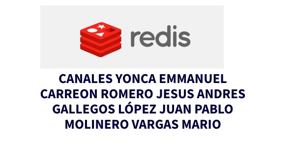 redis