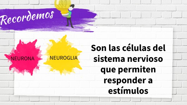 PRESENTACIÓN IMPULSO NERVIOSO | Genially