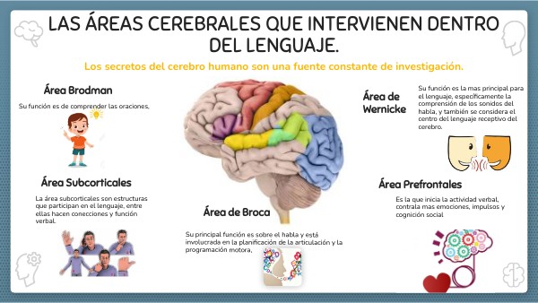 LAS ÁREAS CEREBRALES QUE INTERVIENEN DENTRO DEL LENGUAJE | Genially