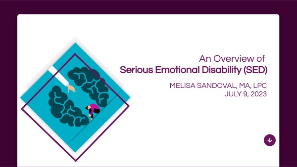 SERIOUS EMOTIONAL DISABILITY OVERVIE