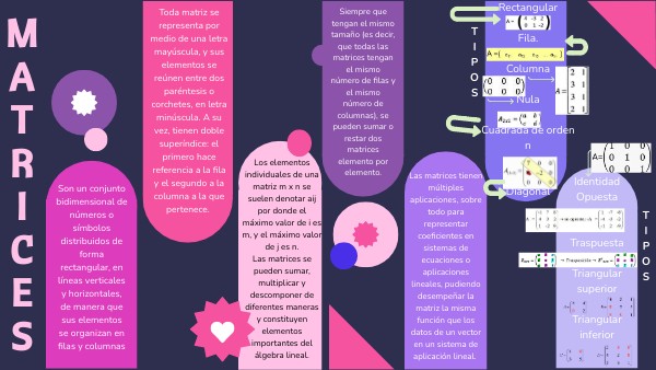 Infografía acerca de Matrices