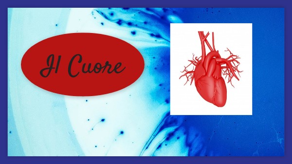 Il cuore
