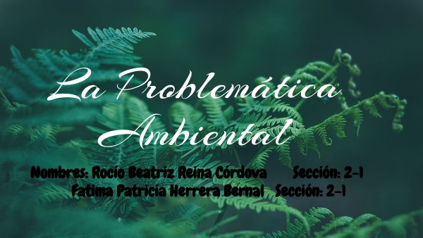 La Problemática Ambiental
