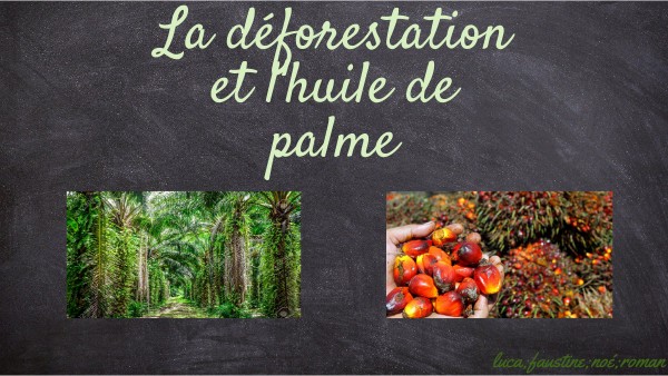 DIAPO déforestation | Genially