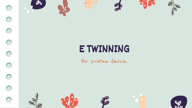 Visual Thinking e-Twinning