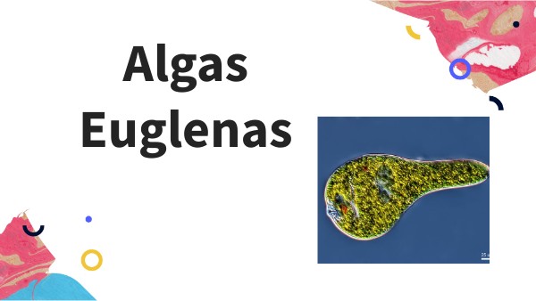 ALGAS EUGLENAS | Genially
