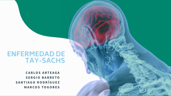 PRESENTACIÓN SALUD | Genially